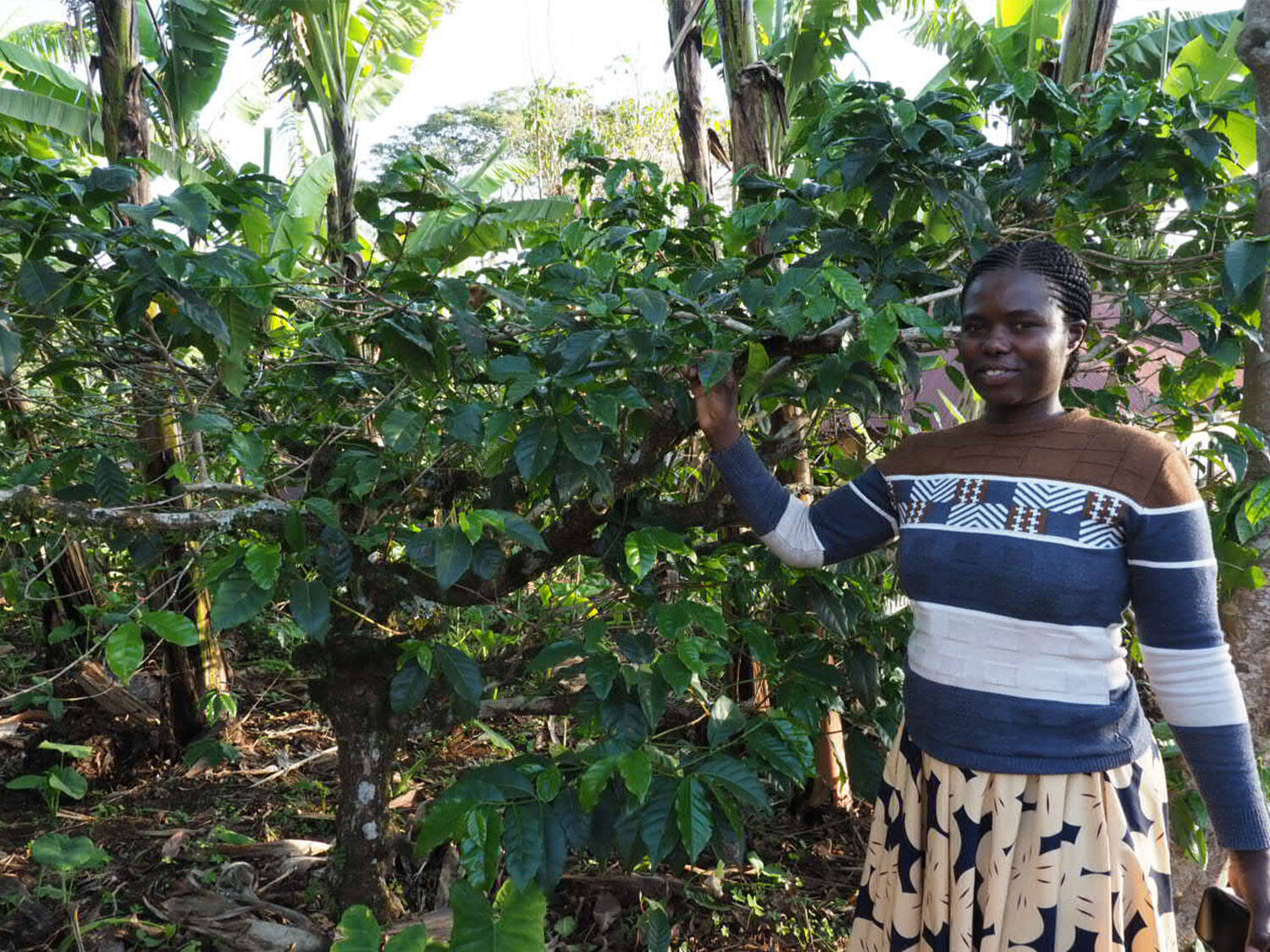 Creating a sustainable society through environmentally conscious coffee ...